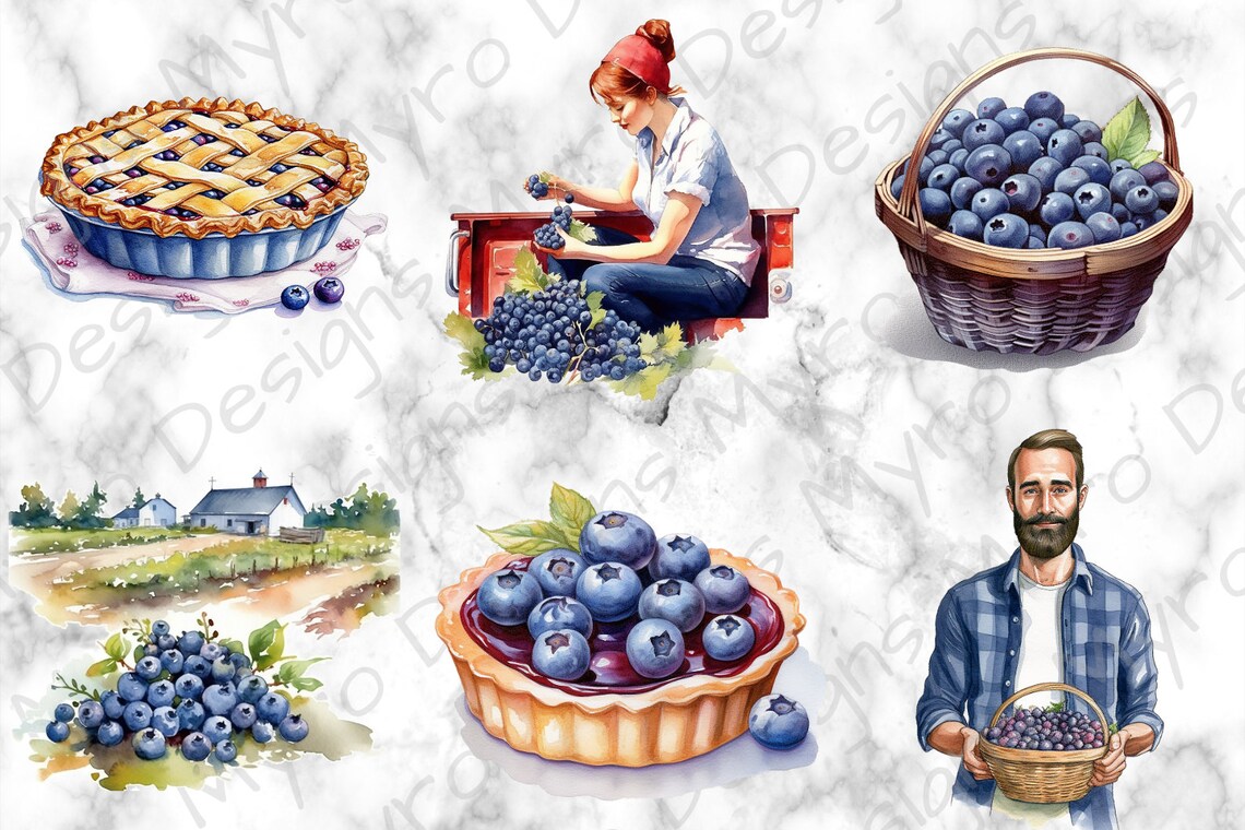 Watercolor Blueberry Clipart. Fruit Clipart. PNG Format. - Etsy