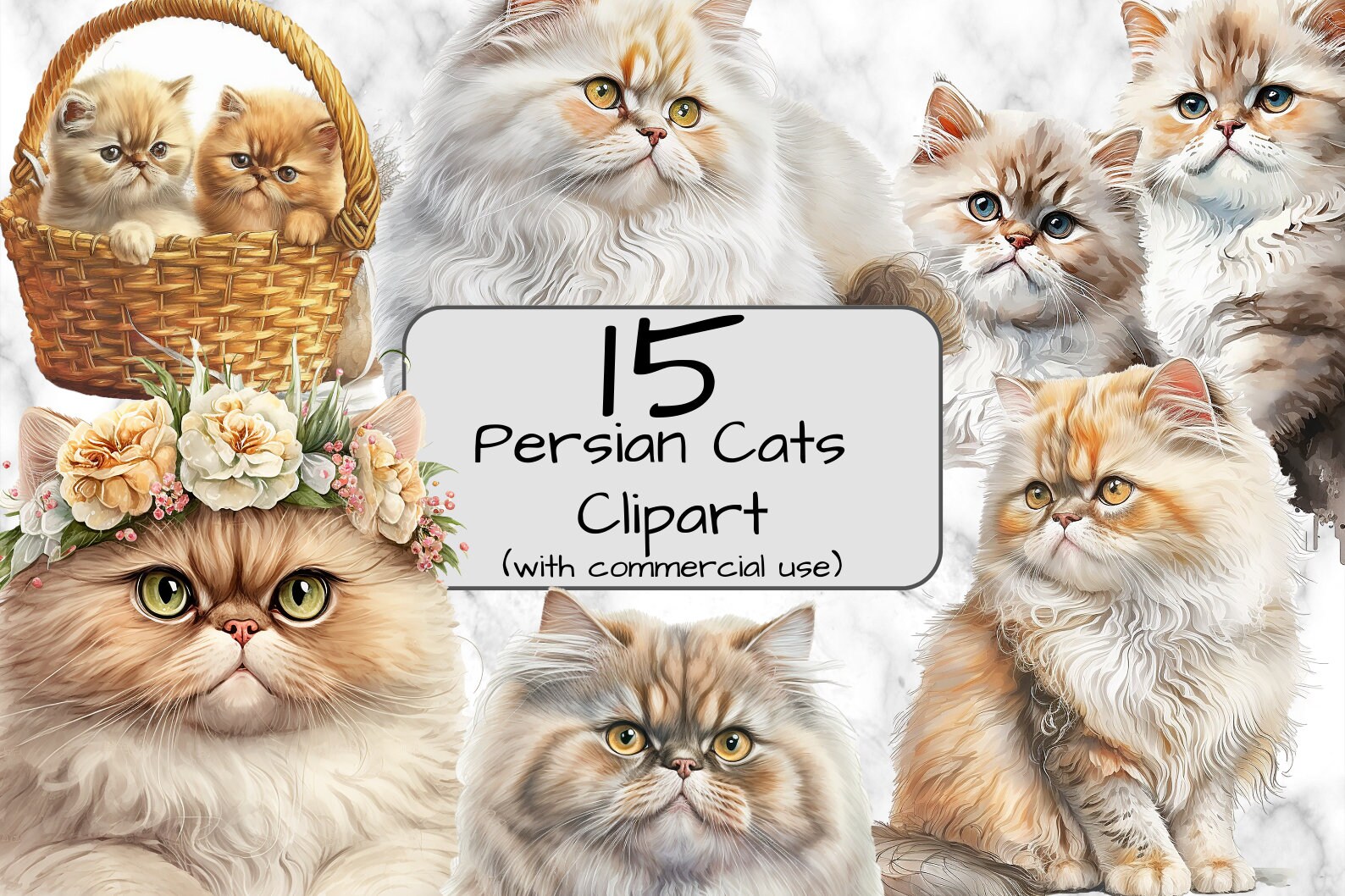 Watercolor Persian Cats Clipart. Digital Art & Sublimation. Cat Clip ...