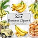 Watercolor Banana Clipart. Fruit Clipart. PNG Format. Transparent ...
