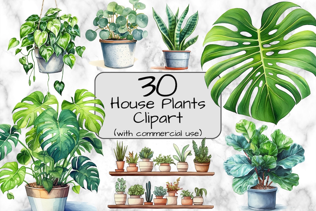 Watercolor House Plant Clipart. Digital Art & Sublimation. PNG Format ...