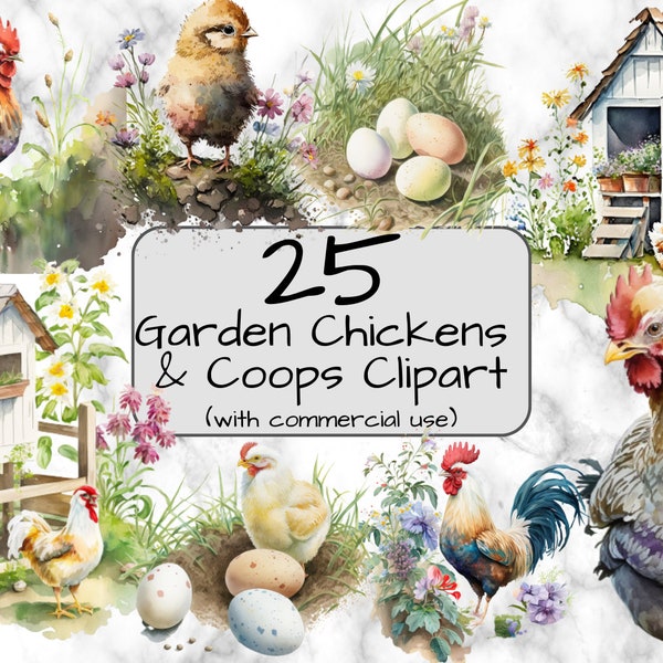 Digital Chicken Clipart - Etsy