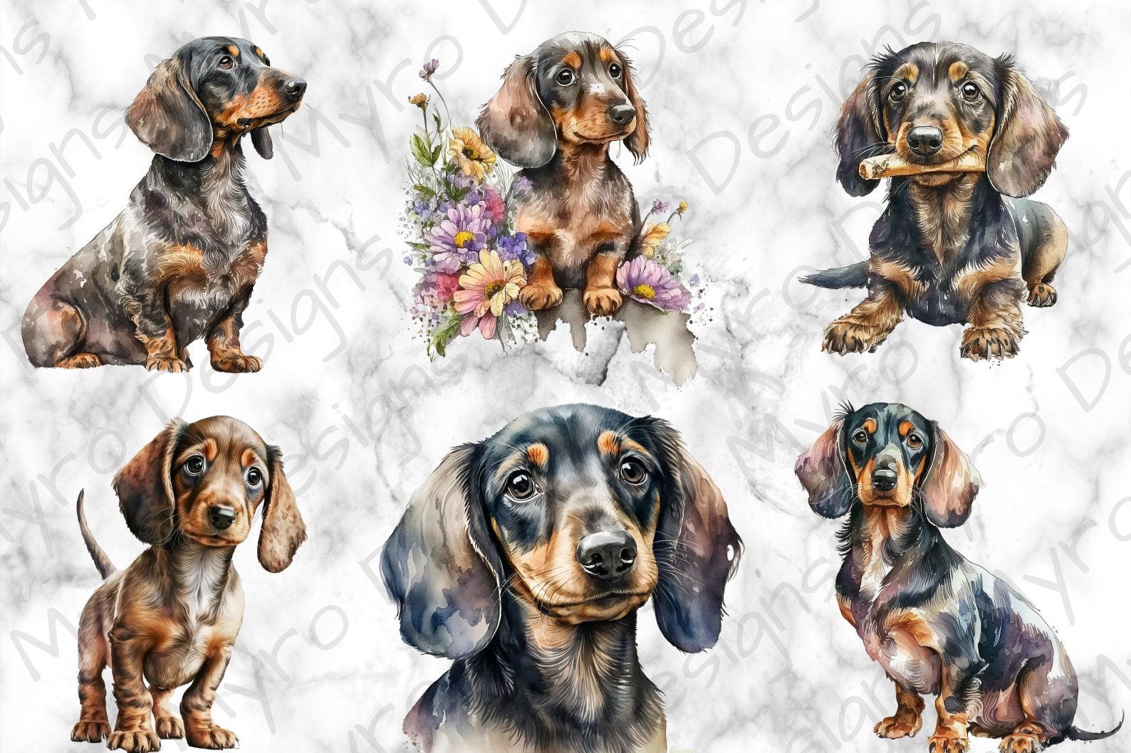 Watercolor Dachshund Clipart. Digital Art & Sublimation. PNG Format ...