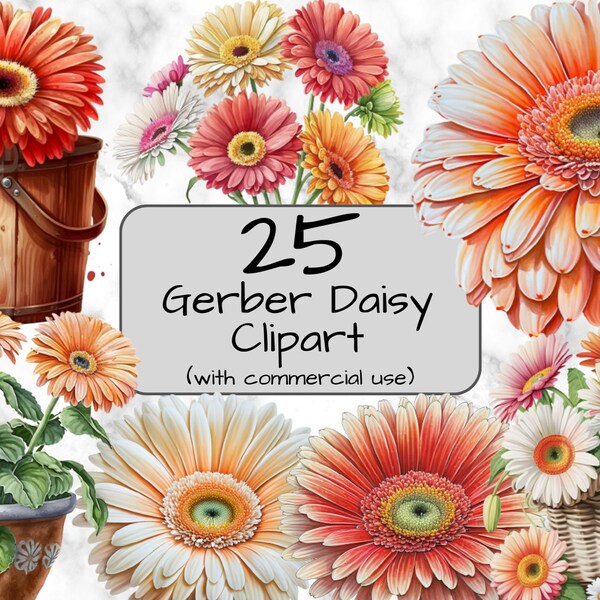 Gerber Daisy - Etsy