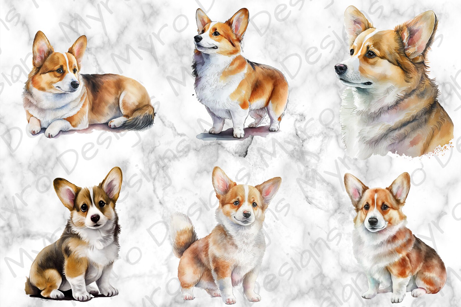 Watercolor Corgi Clipart. Digital Art & Sublimation. PNG - Etsy