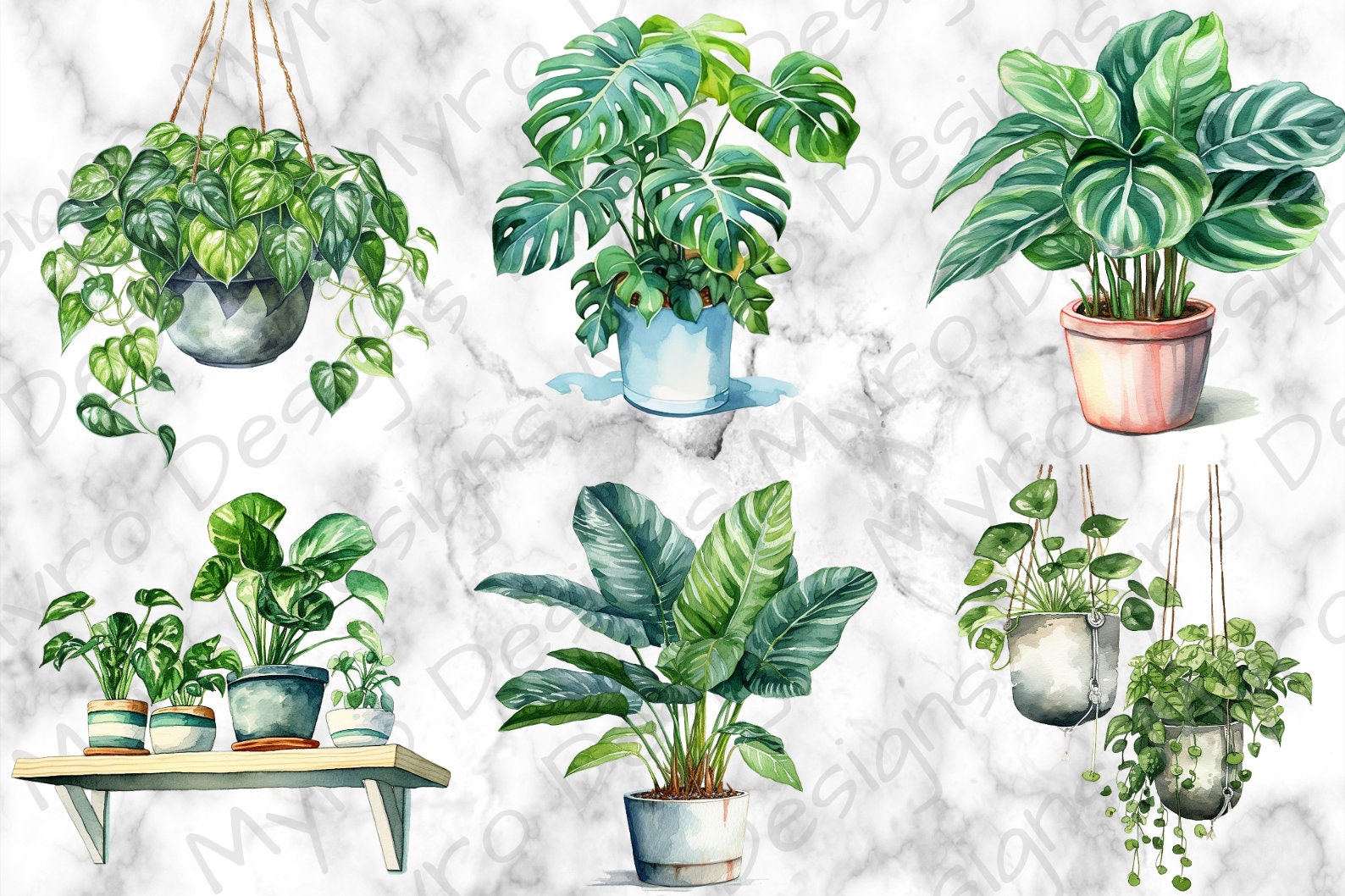 Watercolor House Plant Clipart. Digital Art & Sublimation. PNG - Etsy