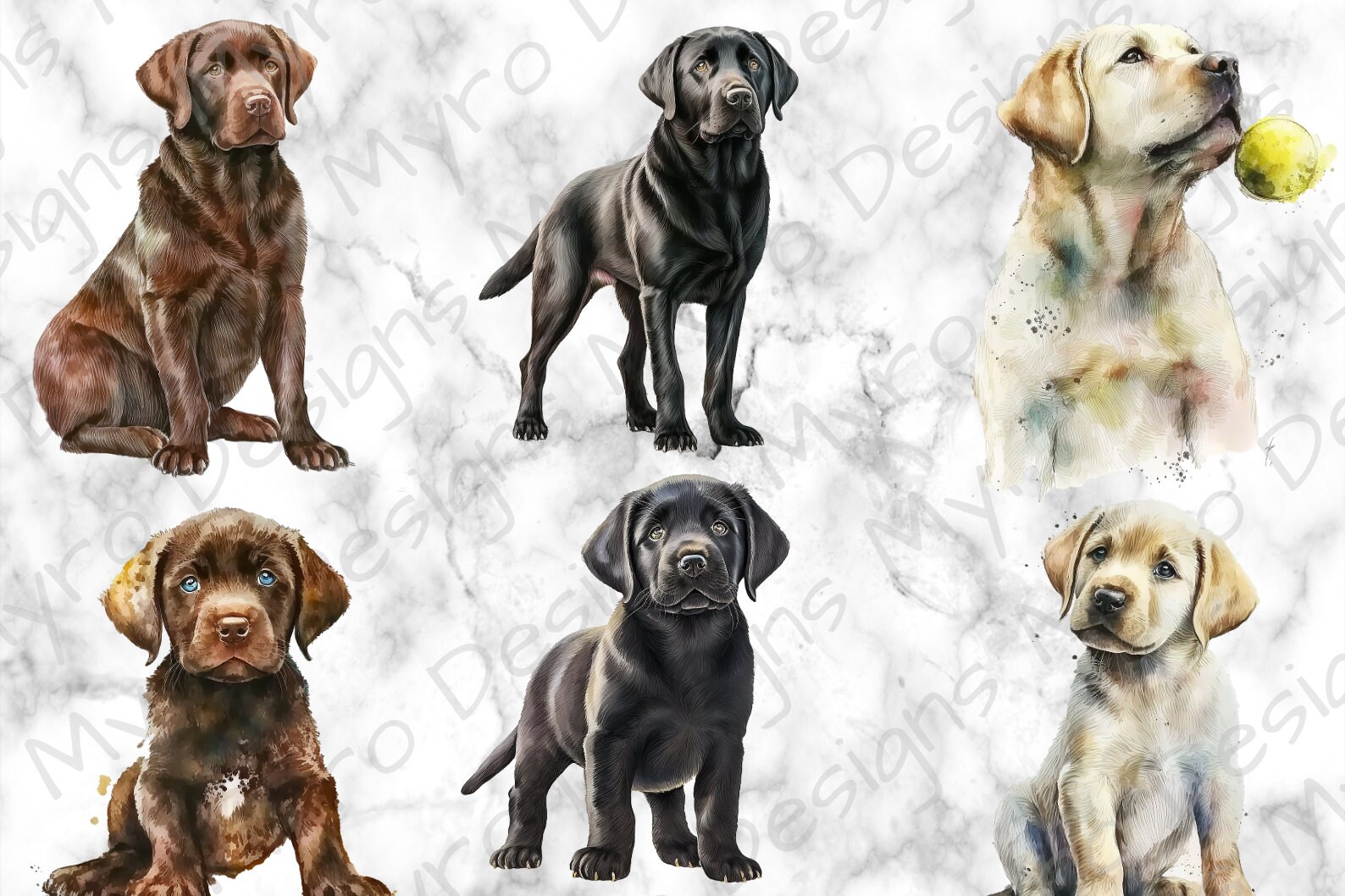 Watercolor Labrador Retriever Clipart. Digital Art & - Etsy