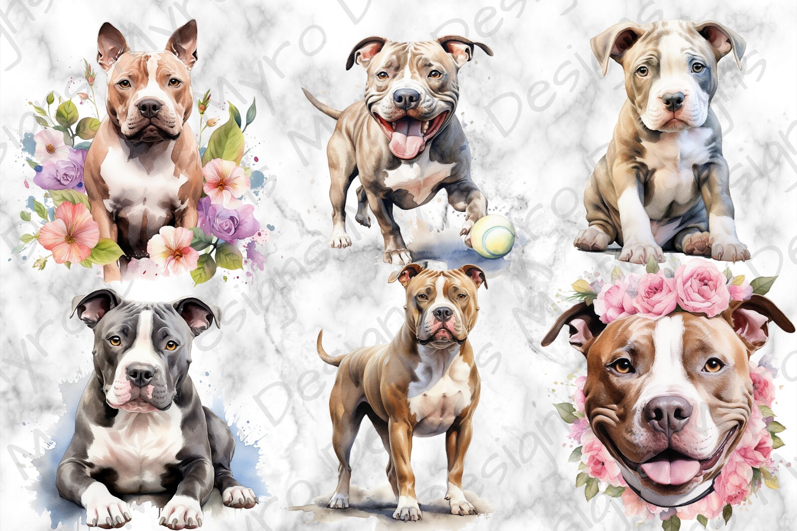 Watercolor Pitbull Clipart. Dog Clipart. PNG Format. Transparent ...