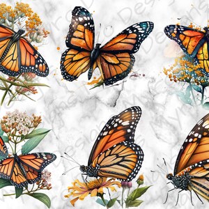 Watercolor Monarch Butterfly Clipart. Digital Art & Sublimation. PNG ...