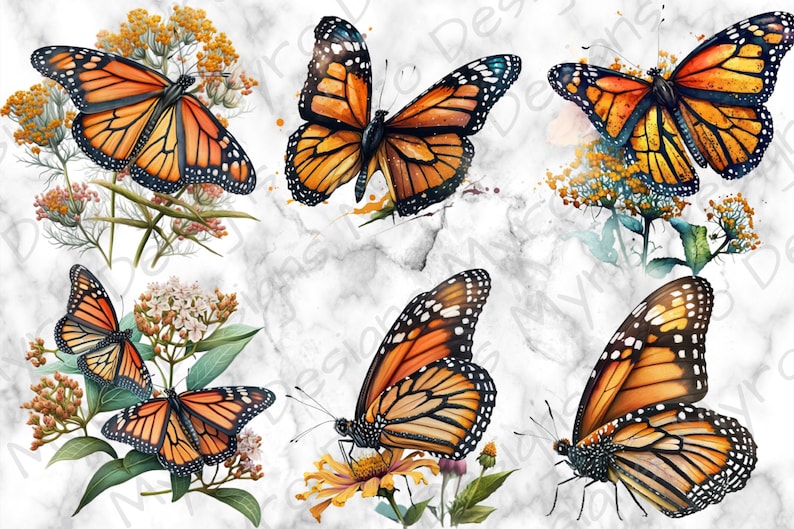 Watercolor Monarch Butterfly Clipart. Digital Art & (Download Now) - Etsy