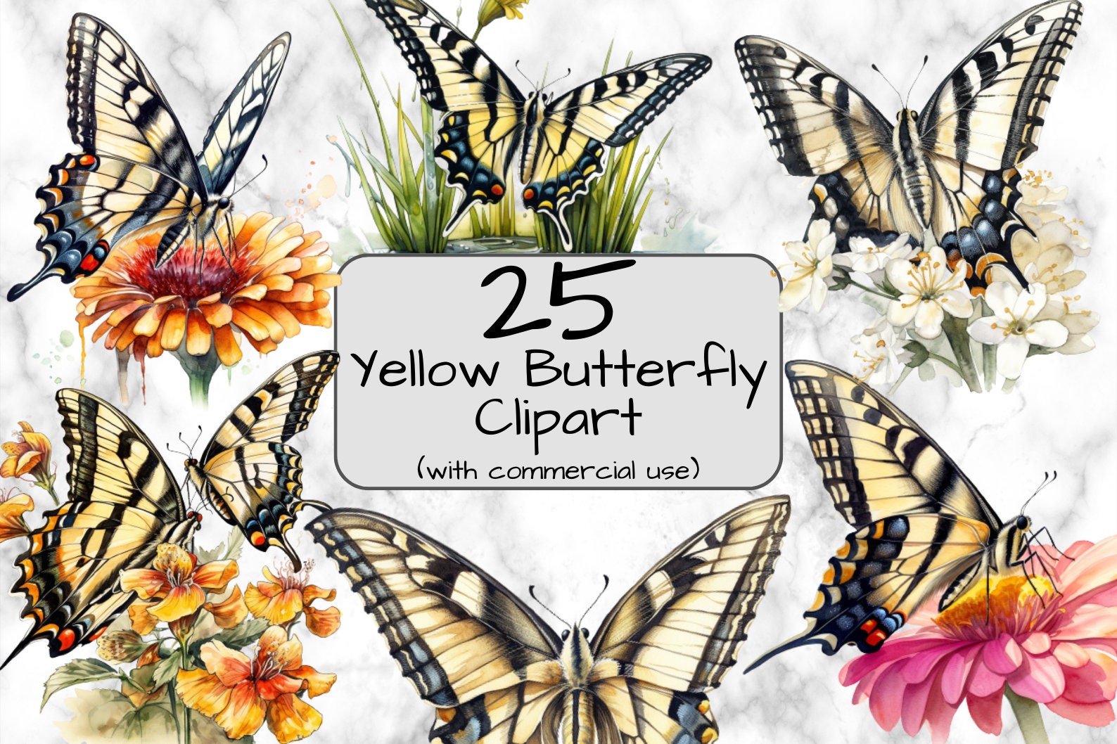 150 Butterfly MEGAPACK. Watercolor Clipart. Spring Clipart. - Etsy