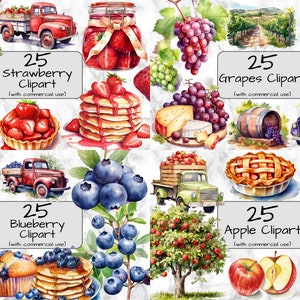 300 Fruits MEGAPACK. Fruit Clipart. PNG Formant. Transparent ...