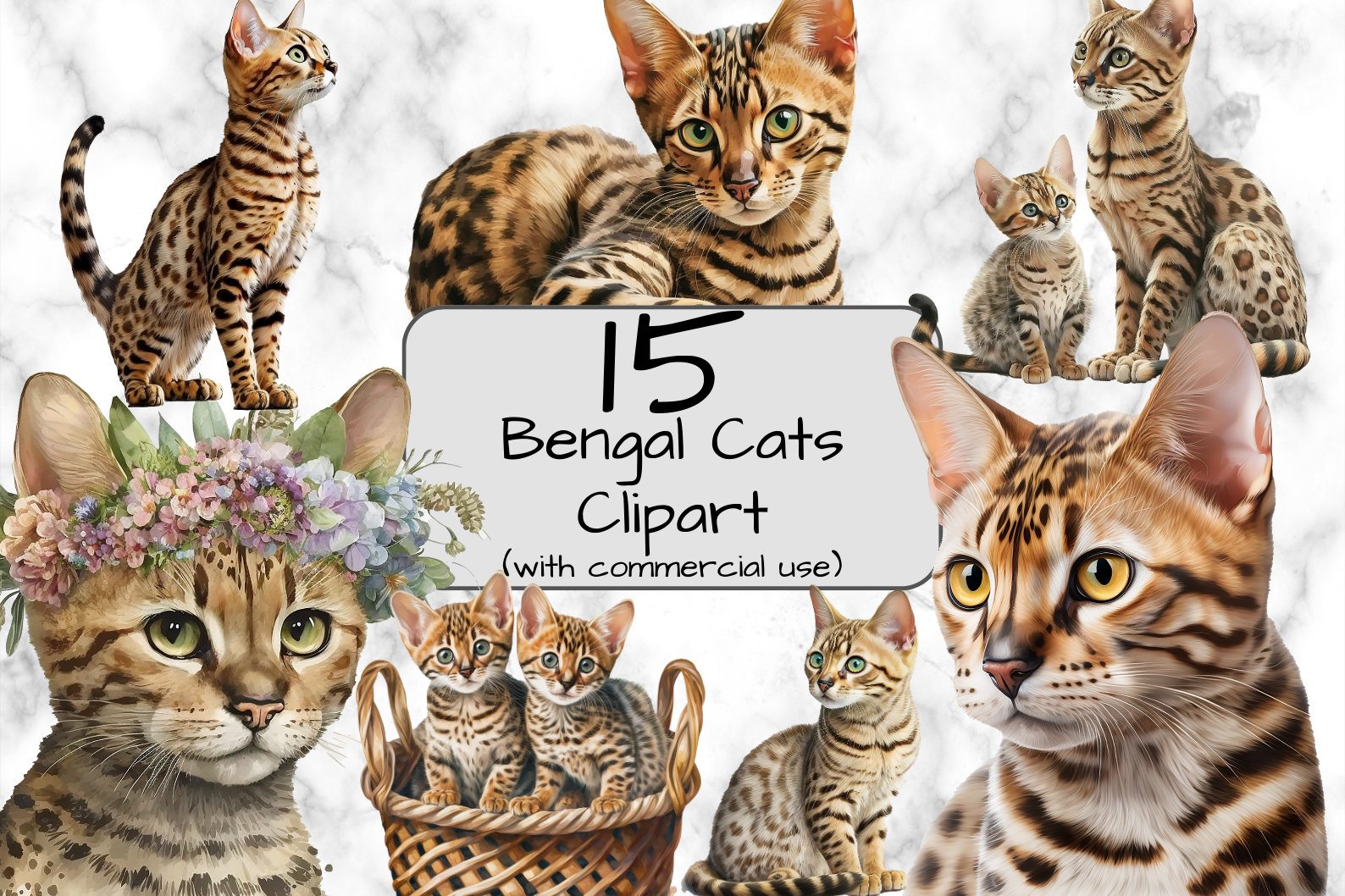 Bengel Clipart