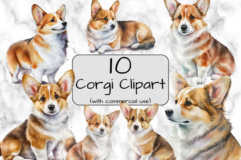 Watercolor Corgi Clipart. Digital Art & Sublimation. PNG - Etsy
