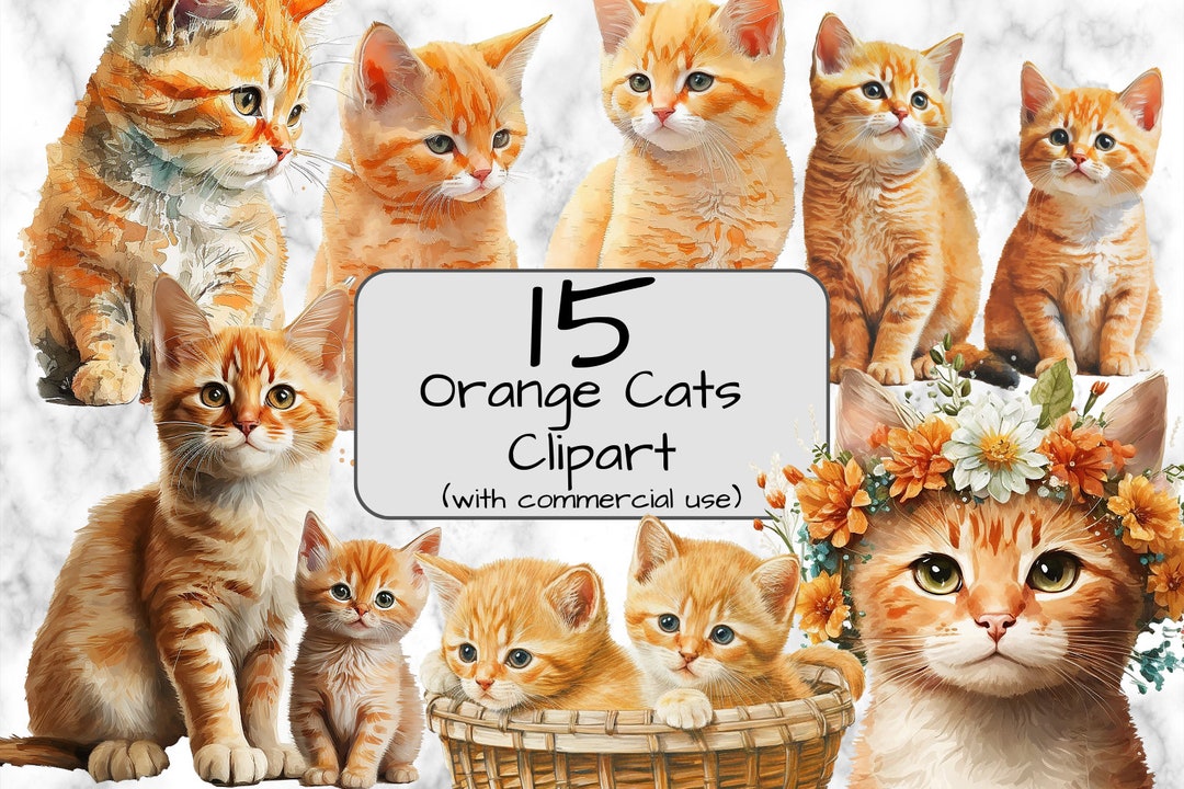 Watercolor Orange Cats Clipart. Digital Art & Sublimation. Cat Clip Art ...