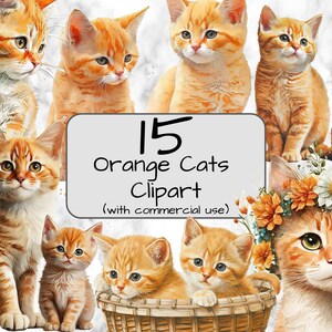 Watercolor Orange Cats Clipart. Digital Art & Sublimation. Cat Clip Art ...