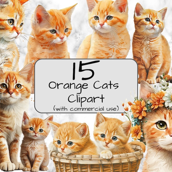 Orange Cat Clip Art - Etsy