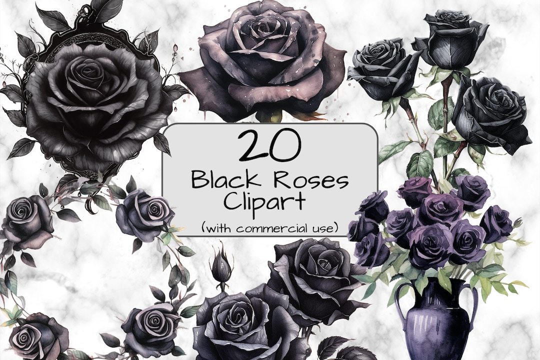 Watercolor Black Roses Clipart. Dark Roses Clipart. PNG Format ...