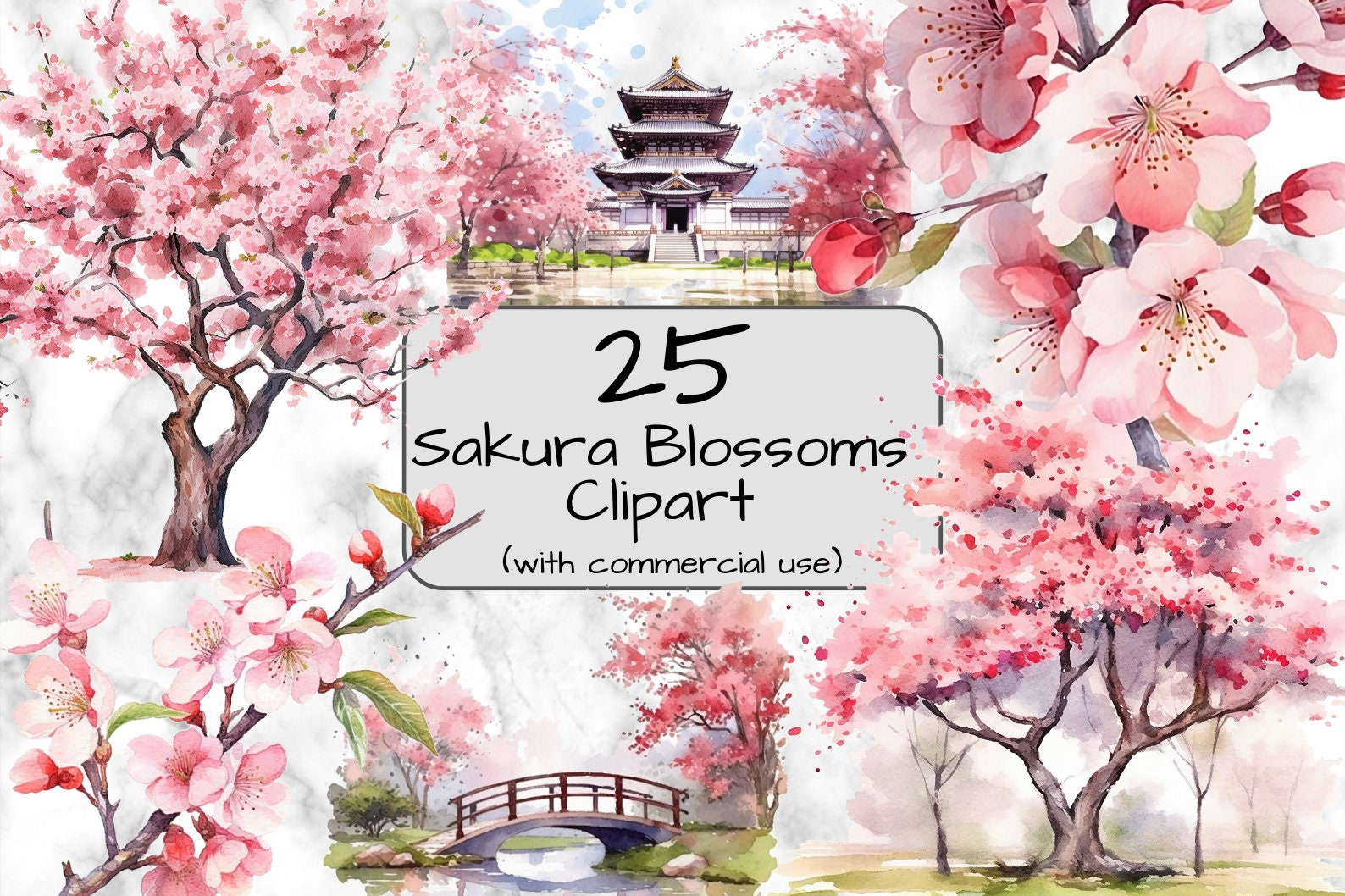 Watercolor Sakura Blossoms Clipart. Japanese Cherry Blossom Clipart ...