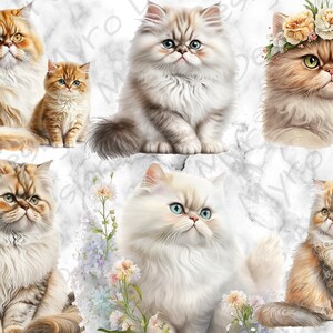 Watercolor Persian Cats Clipart. Digital Art & Sublimation. Cat Clip ...