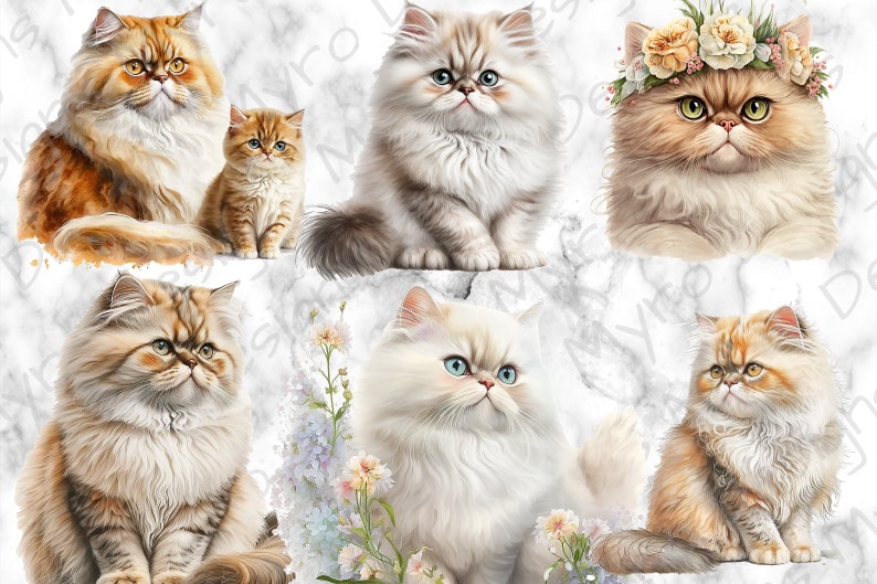 Watercolor Persian Cats Clipart. Digital Art & Sublimation. - Etsy