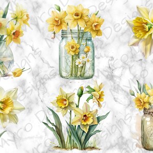 Watercolor Daffodils Clipart. Spring Flowers. Digital Art & - Etsy