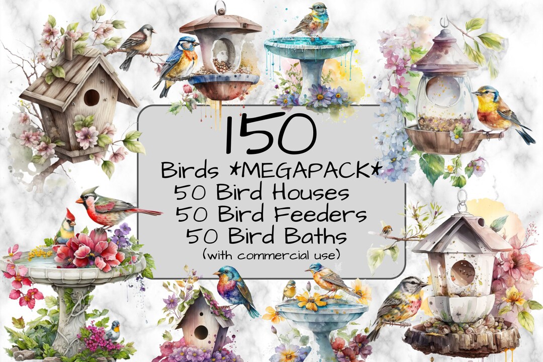 150 Watercolor Birds MEGAPACK. Bird Baths Clipart, Bird Feeders Clipart ...