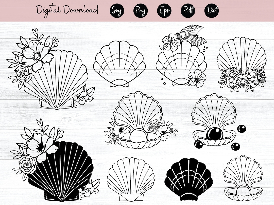Seashell Svg, Sea Shell SVG, Beach SVG, Underwater the Sea Svg, Ocean ...