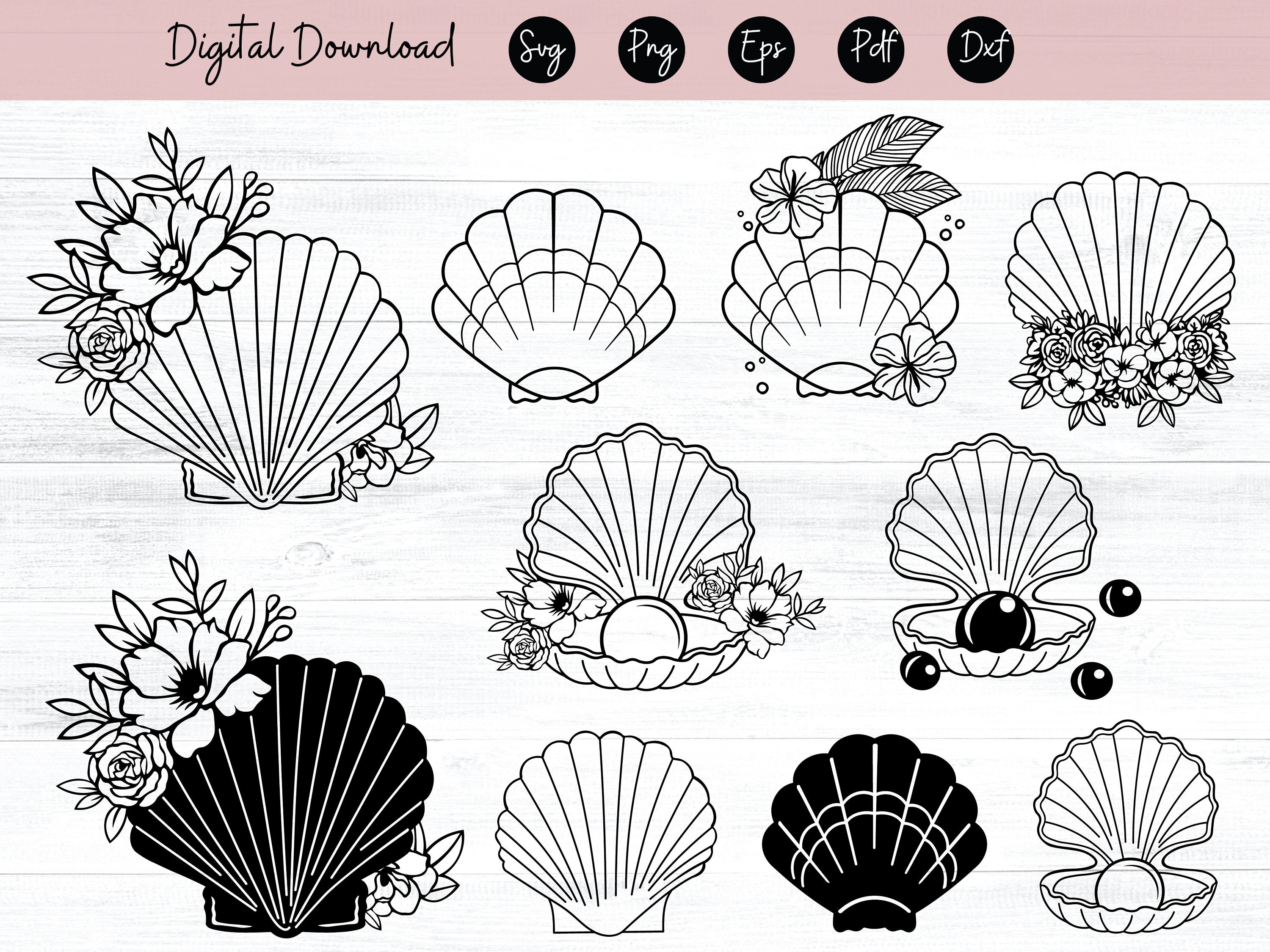 Seashell Svg, Sea Shell SVG, Beach SVG, Underwater the Sea Svg, Ocean ...