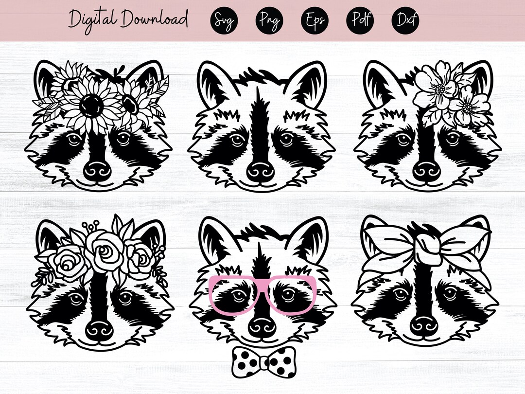 Raccoon Svg Raccoon Head Svg Raccoon Png Raccoon Mascot, Raccoons Svg ...