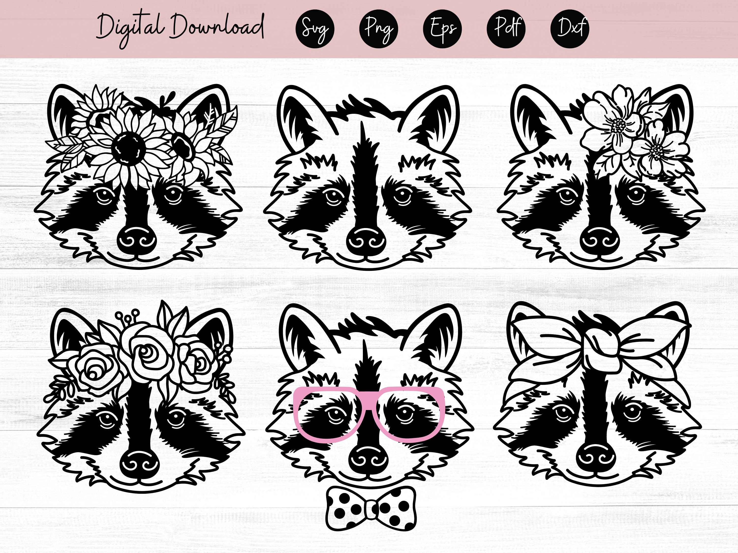 Raccoon Svg Raccoon Head Svg Raccoon Png Raccoon Mascot, Raccoons Svg ...