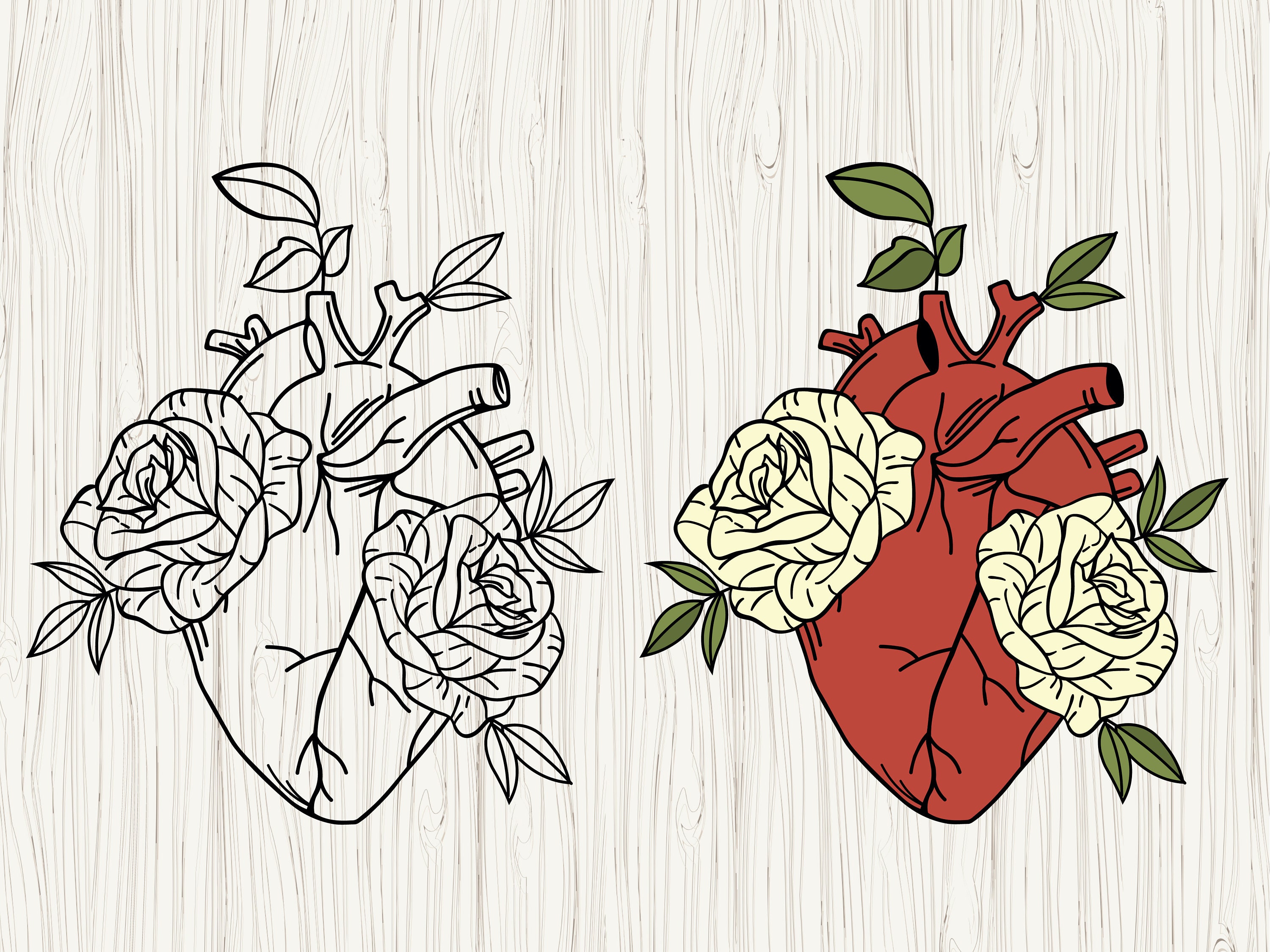 Flower Anatomy Heart SVG Cardiology SVG Love Tattoo Sticker - Etsy