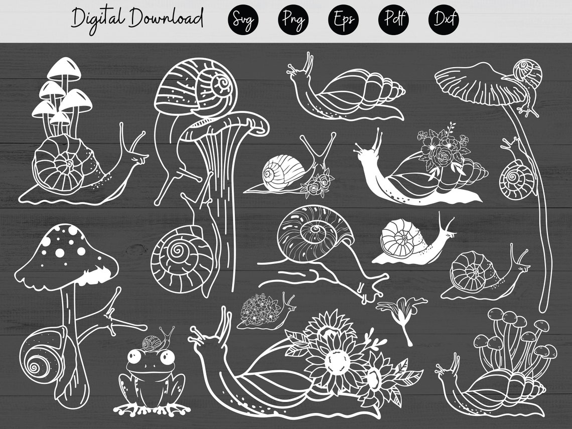 Floral Snail Svg Snail Svg Snail Png Snail Snail Clipart Cute Snail Svg ...