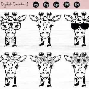 Giraffe SVG Cut File Giraffe PNG Giraffe Vector Zoo Animals - Etsy