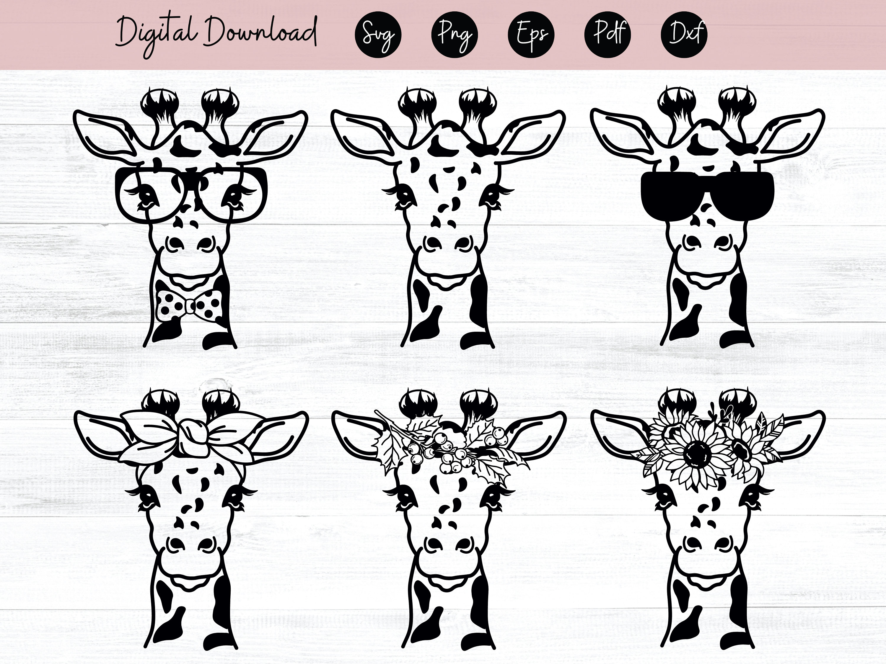 Giraffe SVG Cut File Giraffe PNG Giraffe Vector Zoo Animals Svg Giraffe ...