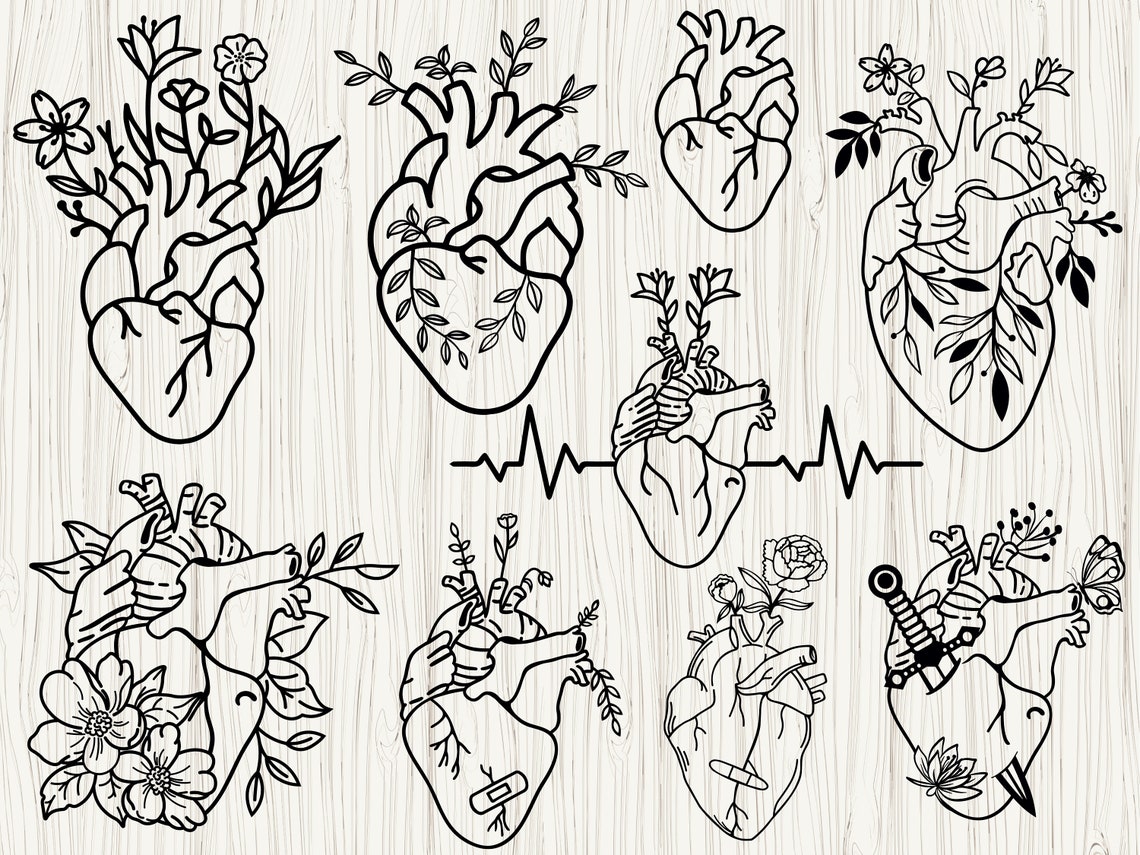 Heart Svg File Anatomical Heart Svg Human Heart Svg - Etsy UK