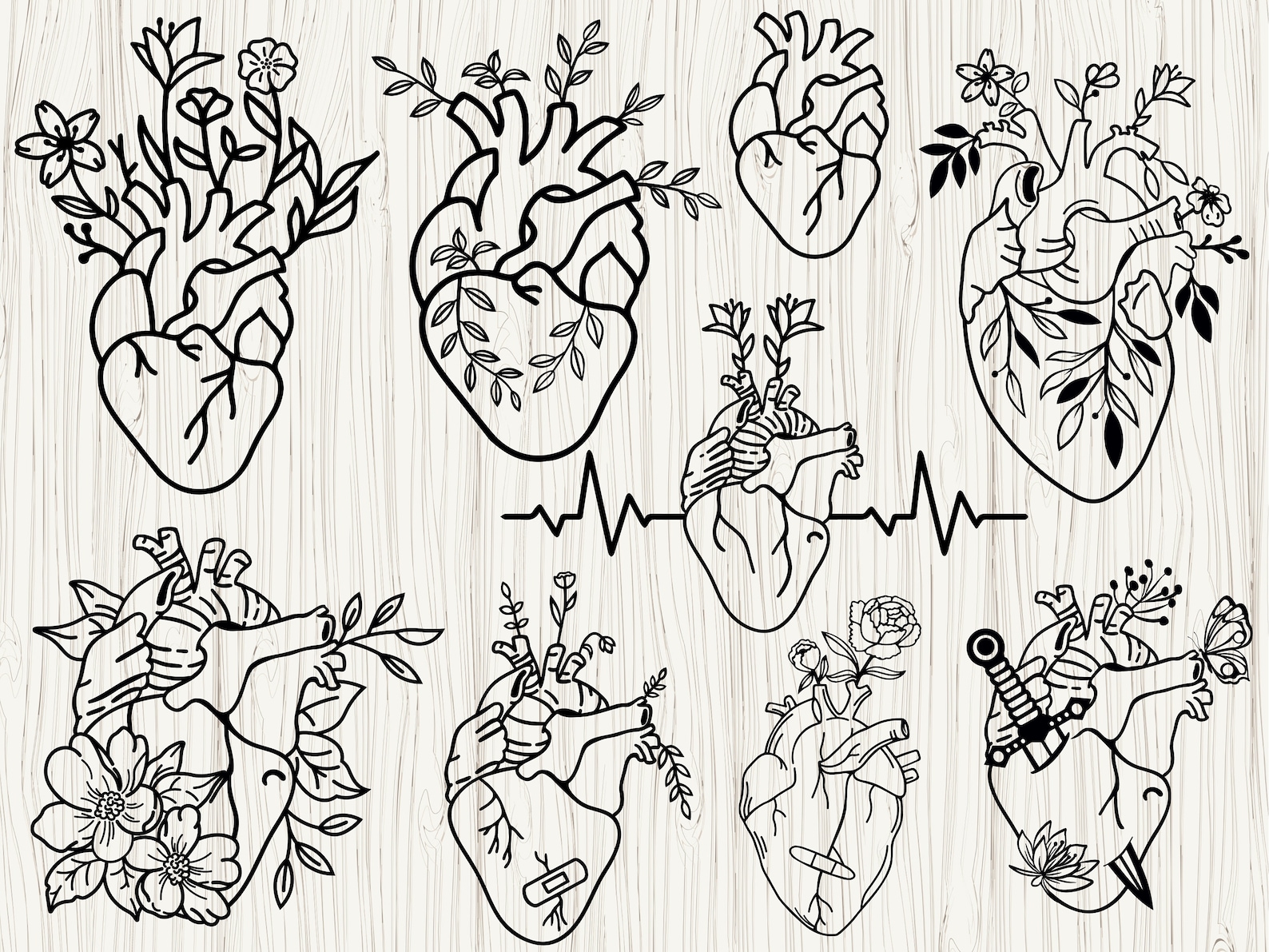 Heart Svg File Anatomical Heart Svg Human Heart Svg - Etsy