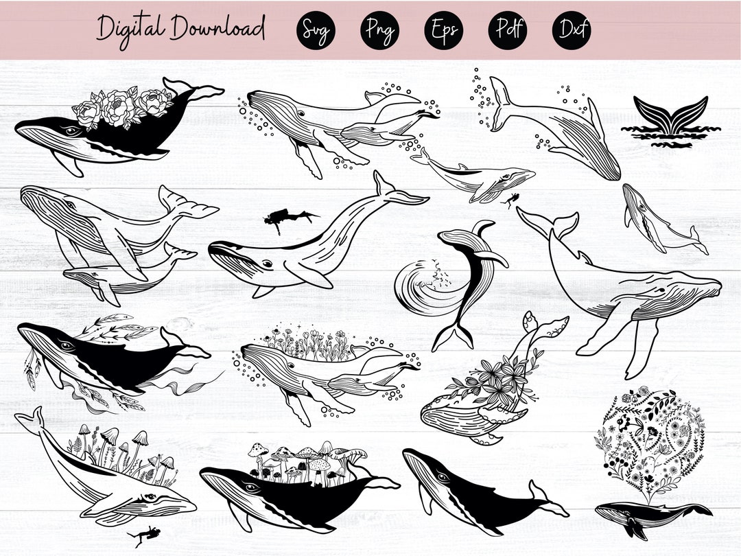 Whale SVG File Whale Cut File Whale Floral SVG File Whale Flower Svg ...