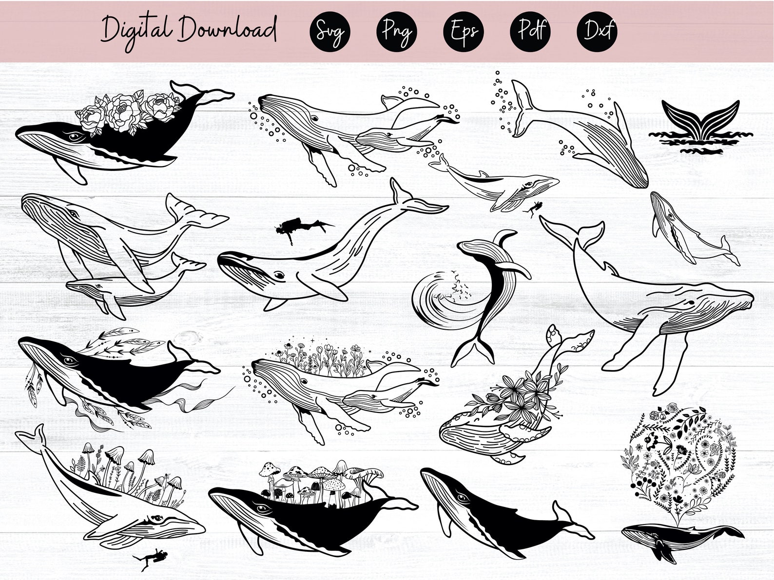 Whale SVG File Whale Cut File Whale Floral SVG File Whale Flower Svg ...