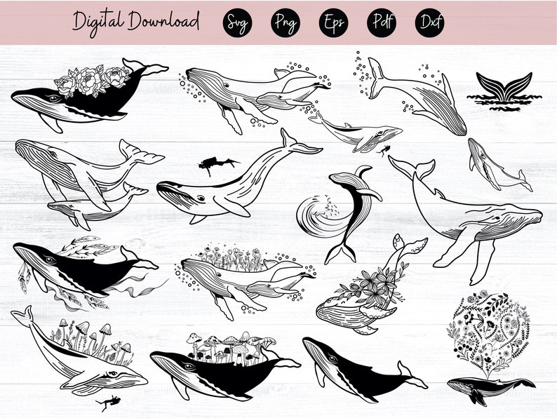 Whale SVG File Whale Cut File Whale Floral SVG File Whale Flower Svg ...