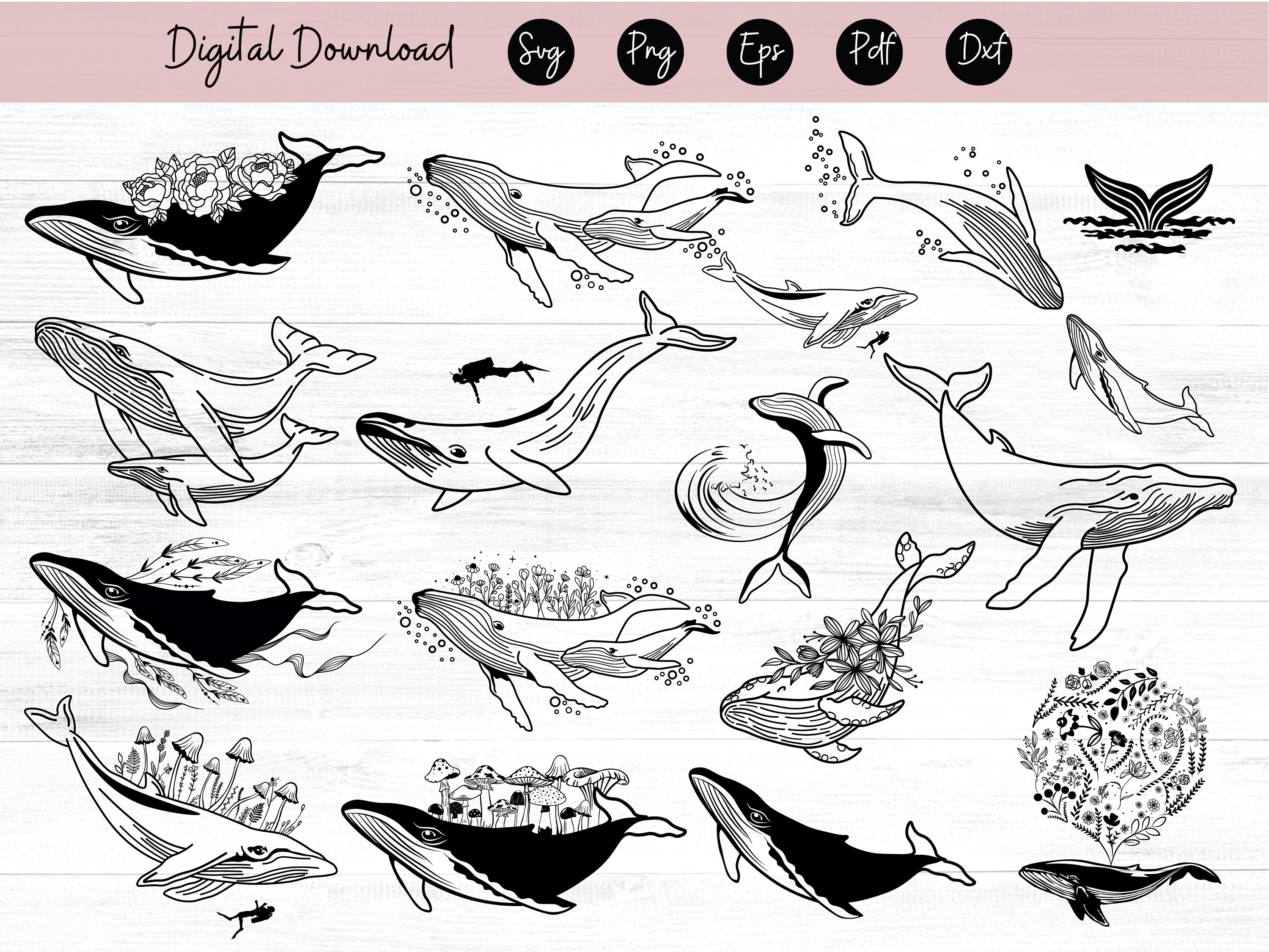 Whale SVG File Whale Cut File Whale Floral SVG File Whale Flower Svg ...