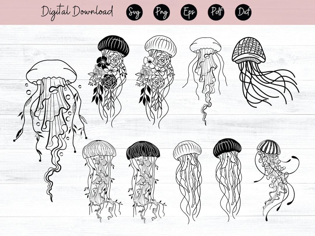 Jellyfish SVG File Medusa Svg Jellyfish Clipart Ocean Animals Svg ...