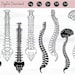 Anatomy Svg, Anatomy Spine Svg, Spine Svg, Cut File for Silhouette, Eps ...