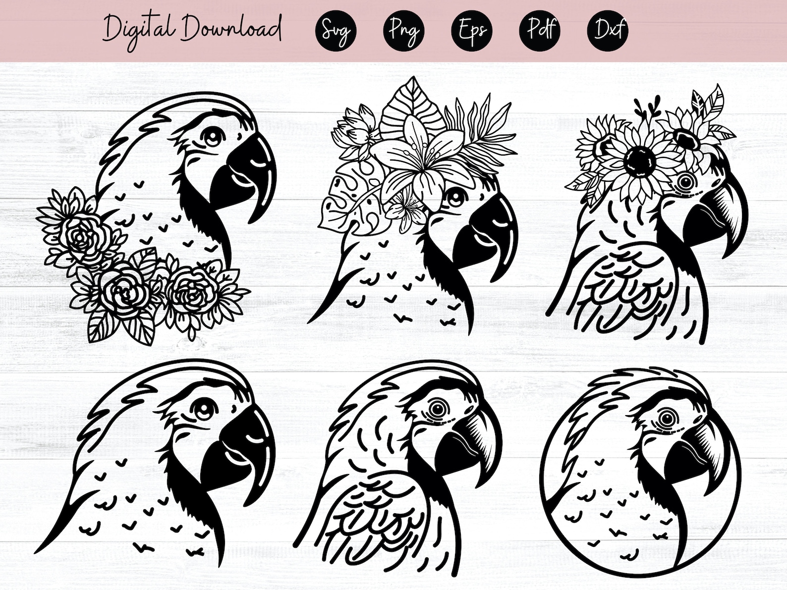 Parrot SVG, Parrot Cut File, Parrot Tropical Flowers Svg, Hibiscus SVG ...
