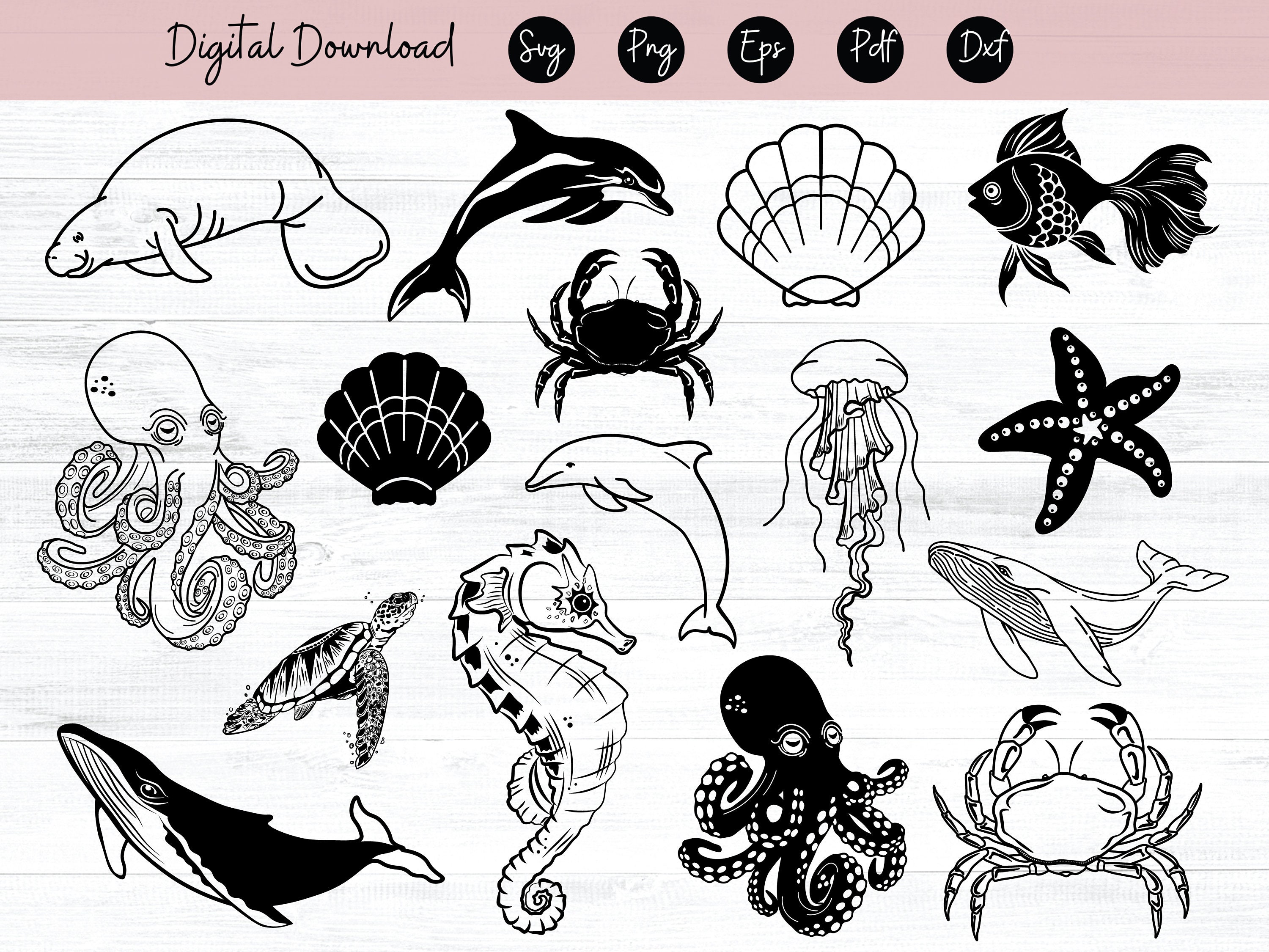 Under the Sea SVG Underwater Clipart SVG Sea Life Svg Ocean Animals Svg ...