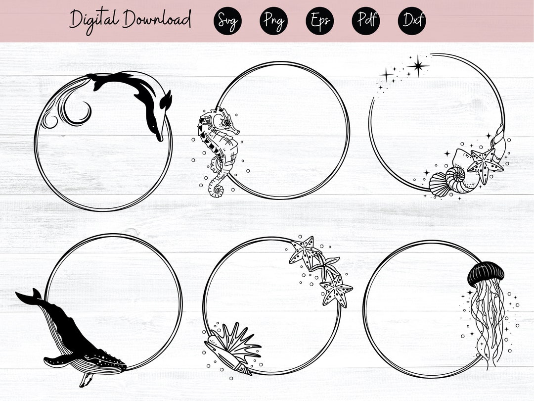 Seashell Frame SVG File, Marine Border SVG, Nautical Frame SVG, Nature ...