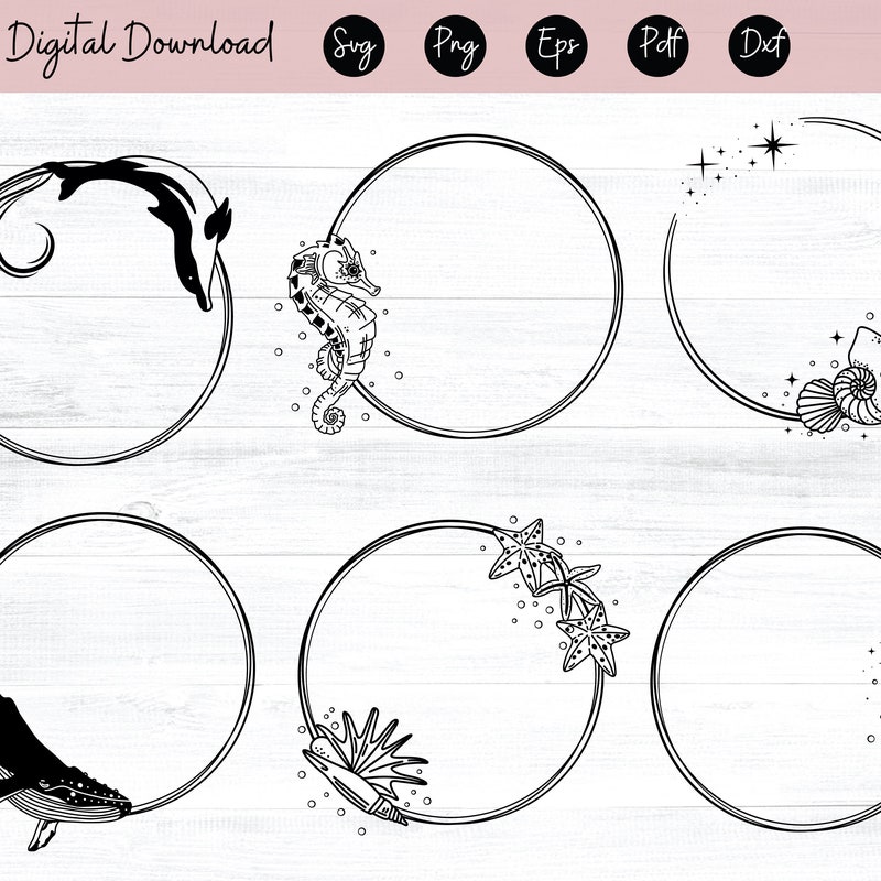 Seashell Border Design - Etsy