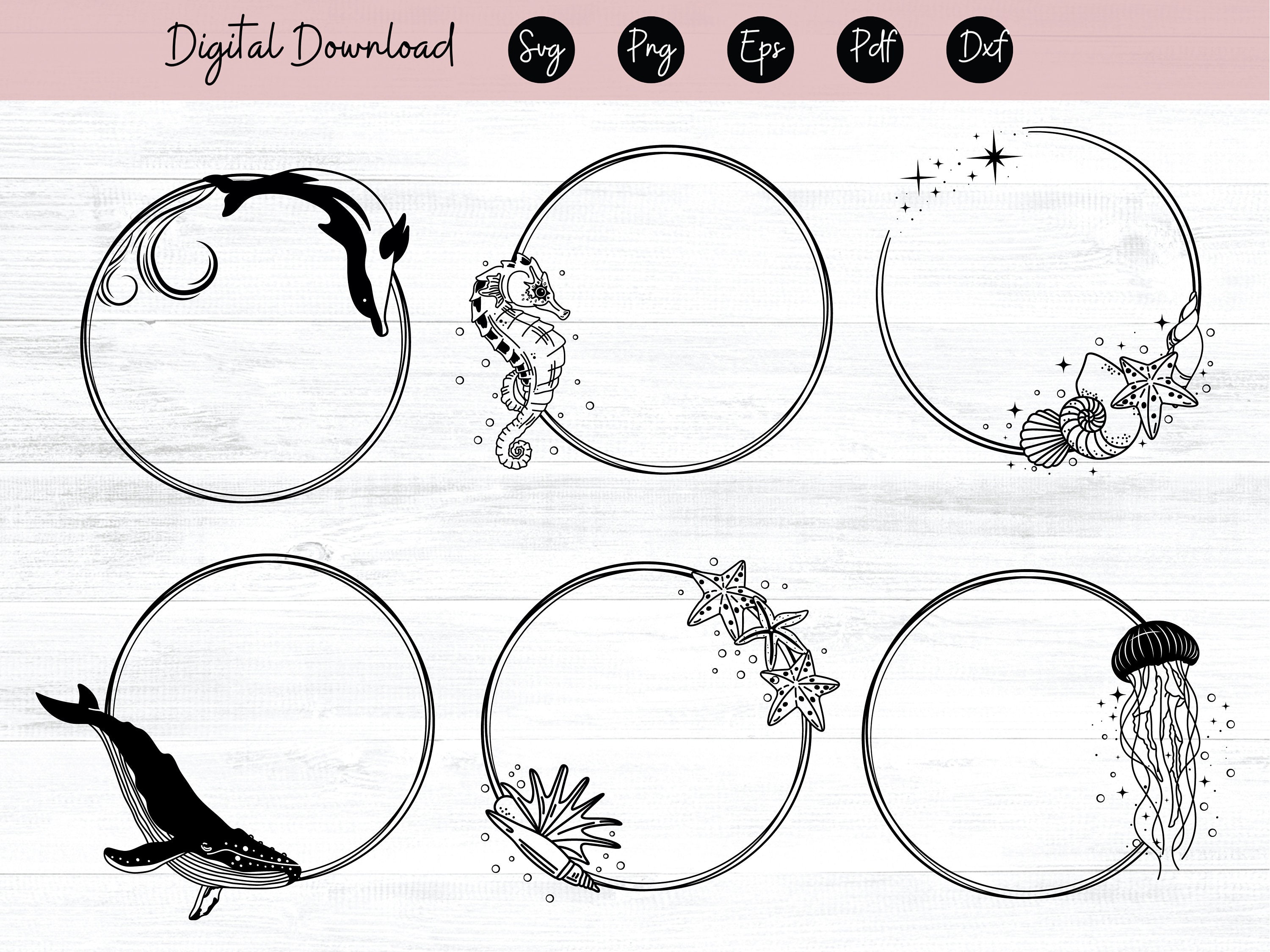 Seashell Frame SVG File, Marine Border SVG, Nautical Frame SVG, Nature ...