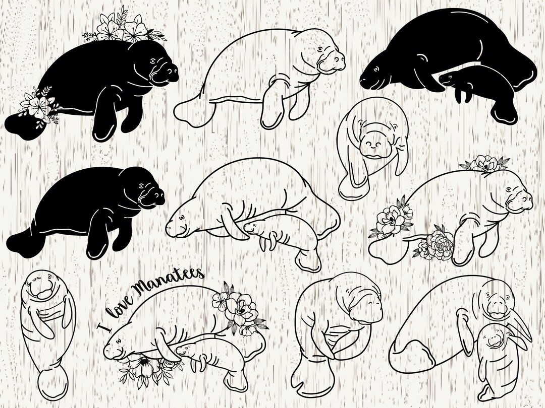 Manatee Svg Bundle Family Manatee Svg Ocean Creatures Svg - Etsy