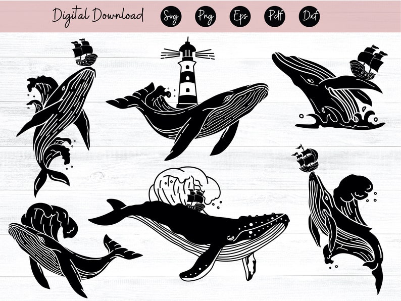 Whale SVG, Vector Whale Ocean Animals Svg, Whale Bundle Png, Whale ...