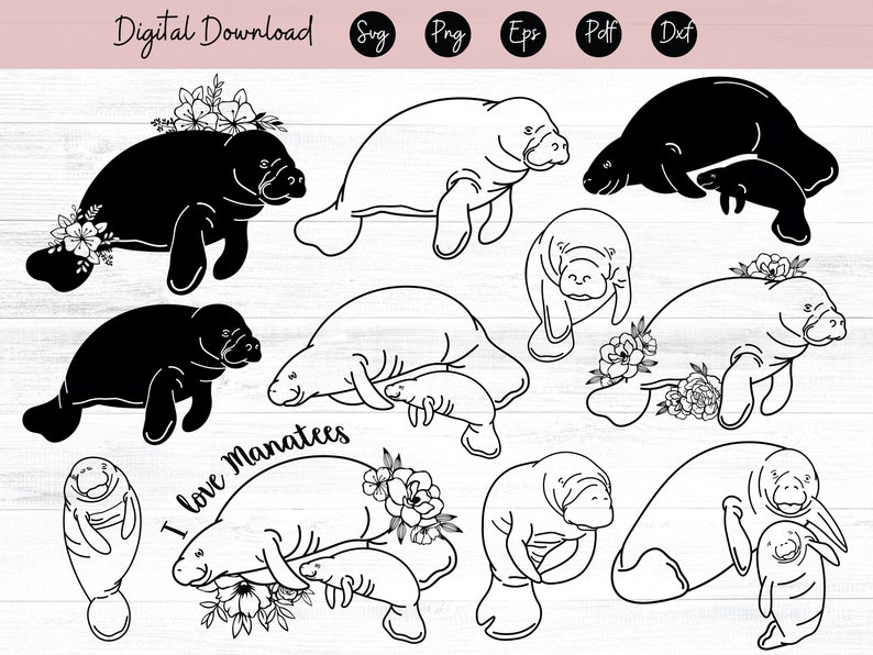 Manatee Svg Bundle Family Manatee Svg Ocean Creatures Svg Manatee Cut ...